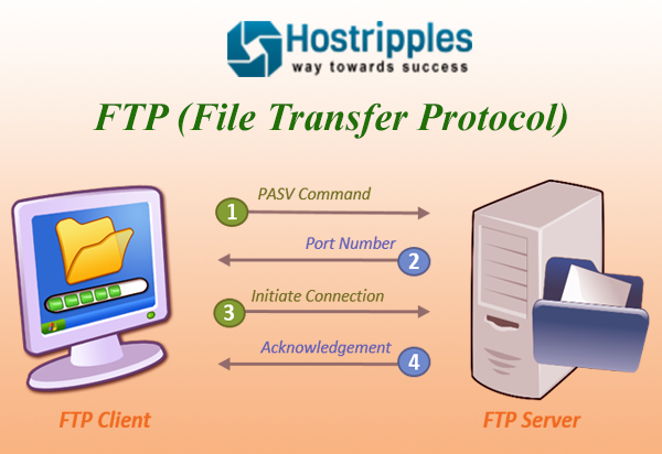 FTP File Transfer Protocol Hostripples