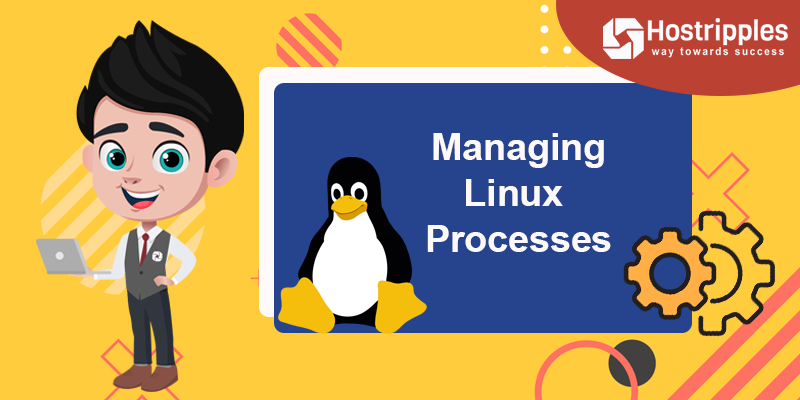 What is Linux Process? Important commands for Linux Process